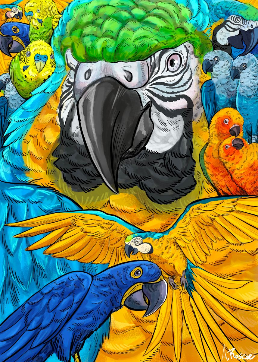 'Parrot Portrait' Poster, picture, metal print, paint by Abigail Roscoe ...
