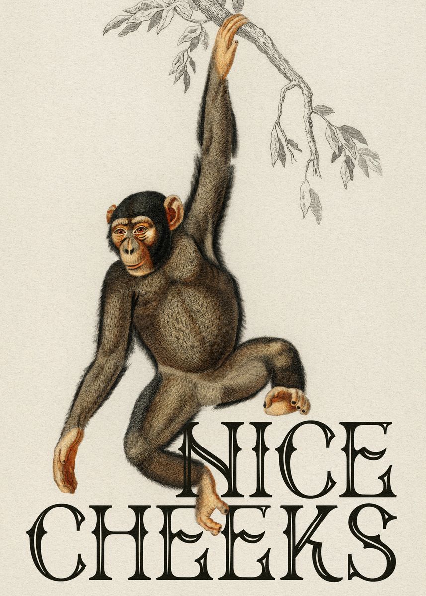 'Chimpanzee Nice Cheeks' Poster, picture, metal print, paint by Mircea ...