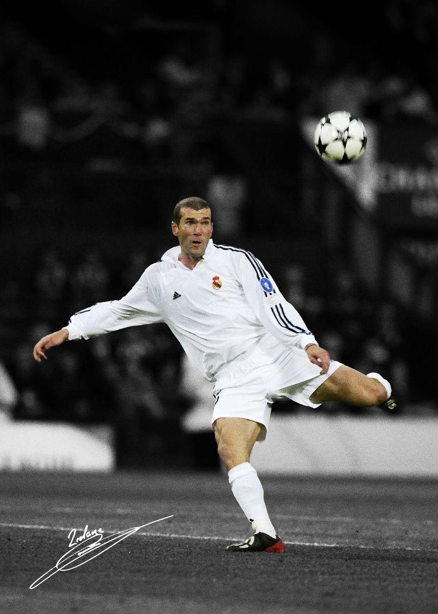 'Zinedine Zidane' Poster, picture, metal print, paint by Brian John ...