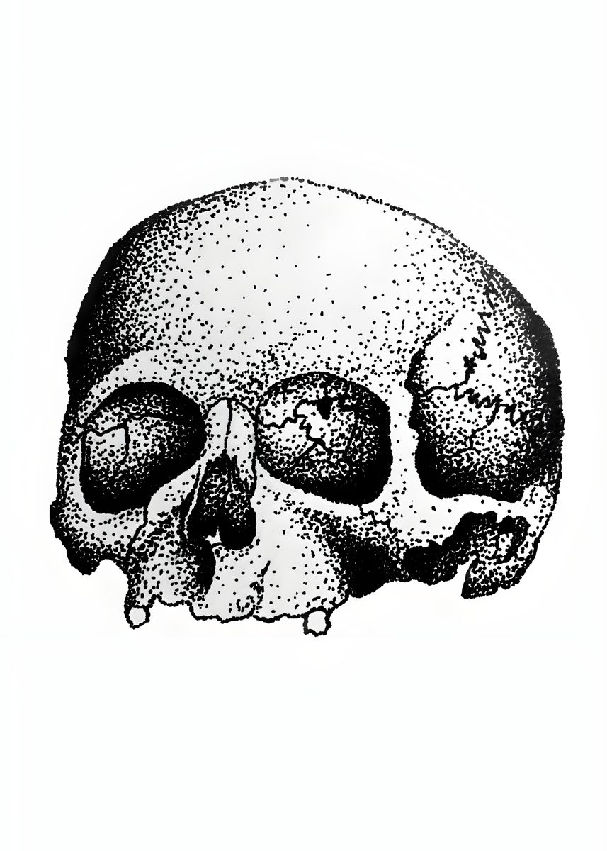 'Stippled Skull Illustration' Poster, picture, metal print, paint by ...