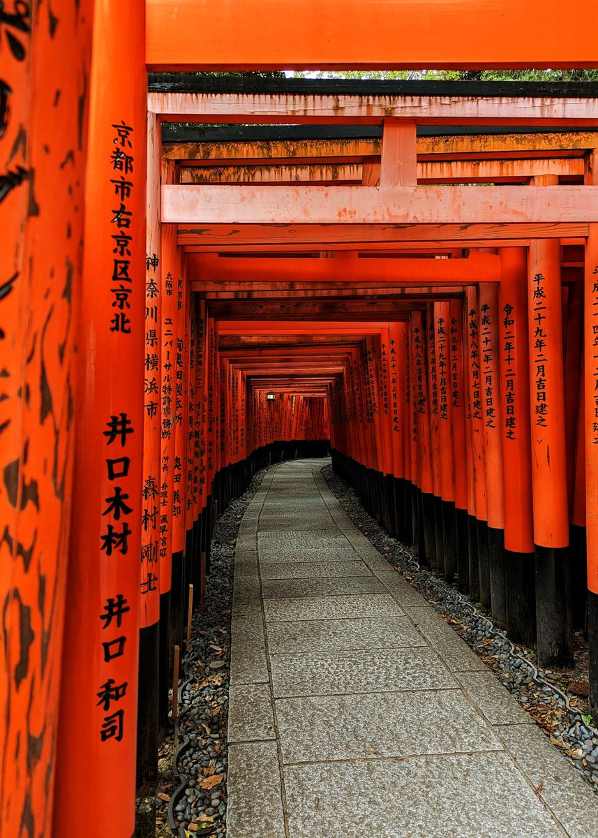 'Red Torii Gates Pathway at Fushimi-Inari' Poster, picture, metal print ...