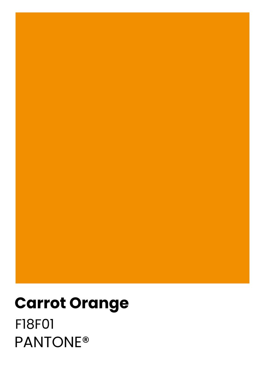'Pantone Carrot Orange' Poster, picture, metal print, paint by Metal ...