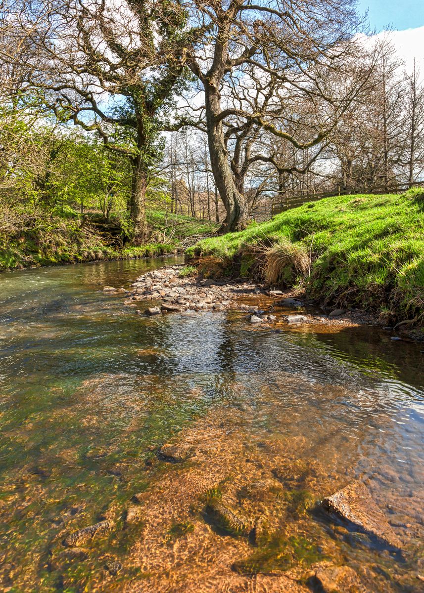 'RIver Noe near Edale in the Peak District' Poster, picture, metal ...