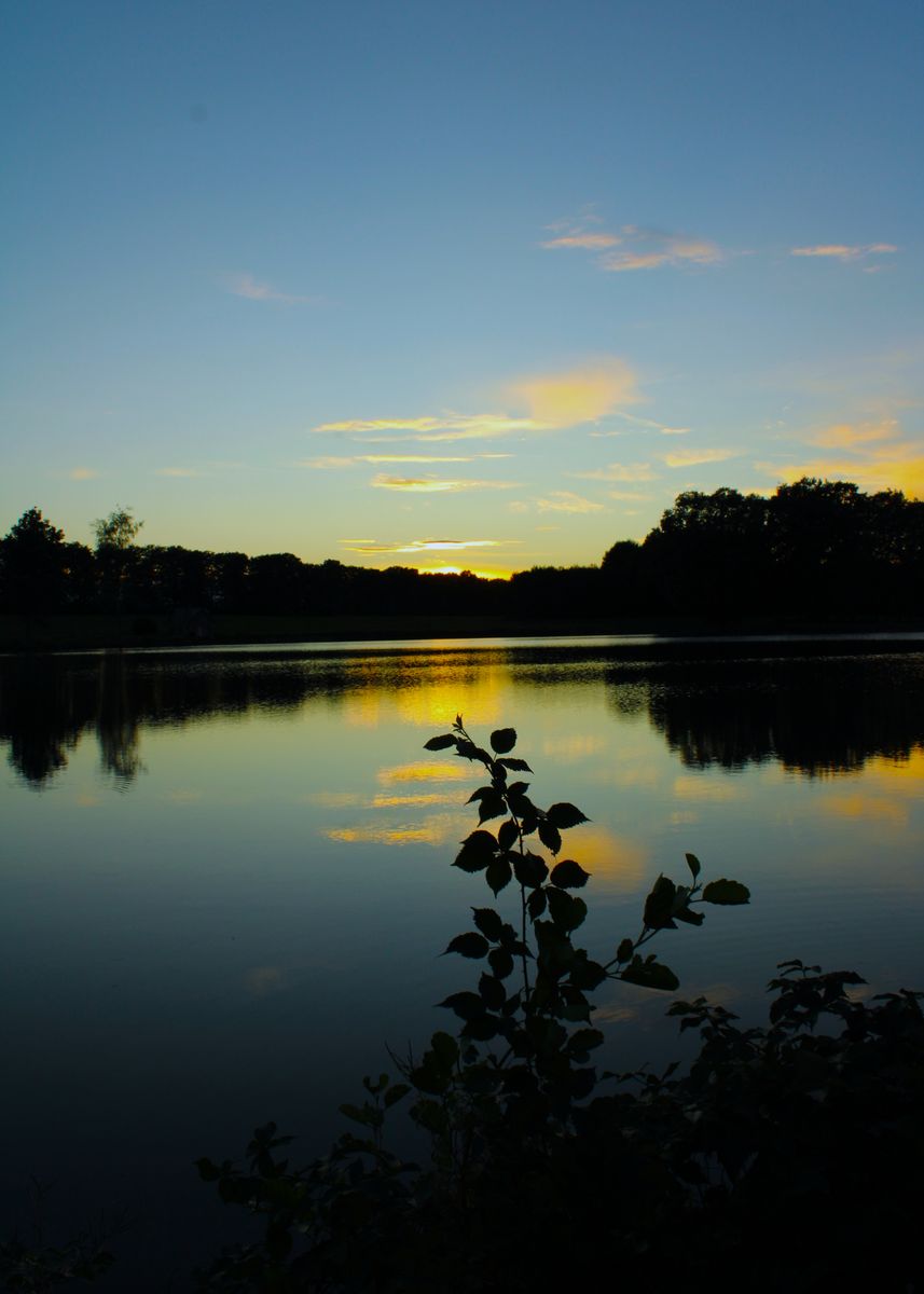 'Sunset Over Still Water' Poster, picture, metal print, paint by ...