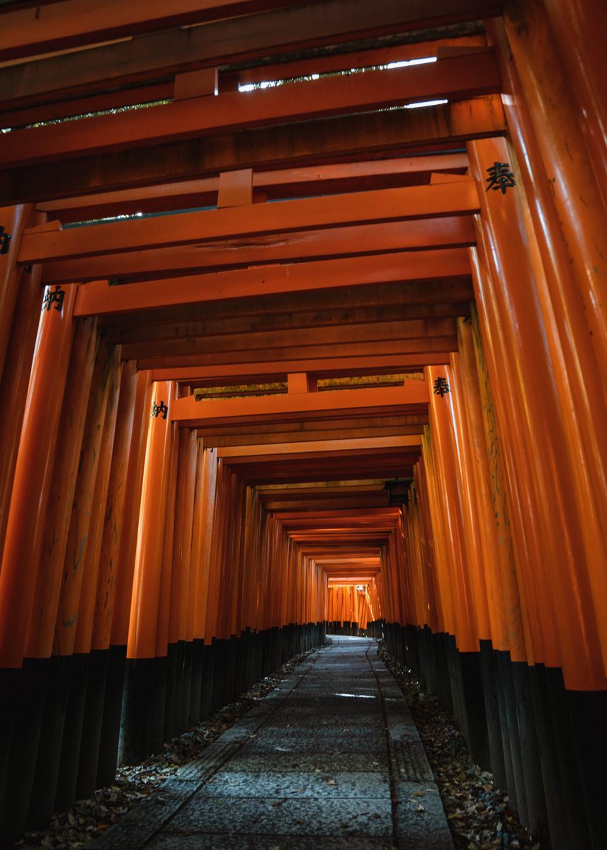 'Fushimi Inari Shrine Torii Gates' Poster, picture, metal print, paint ...