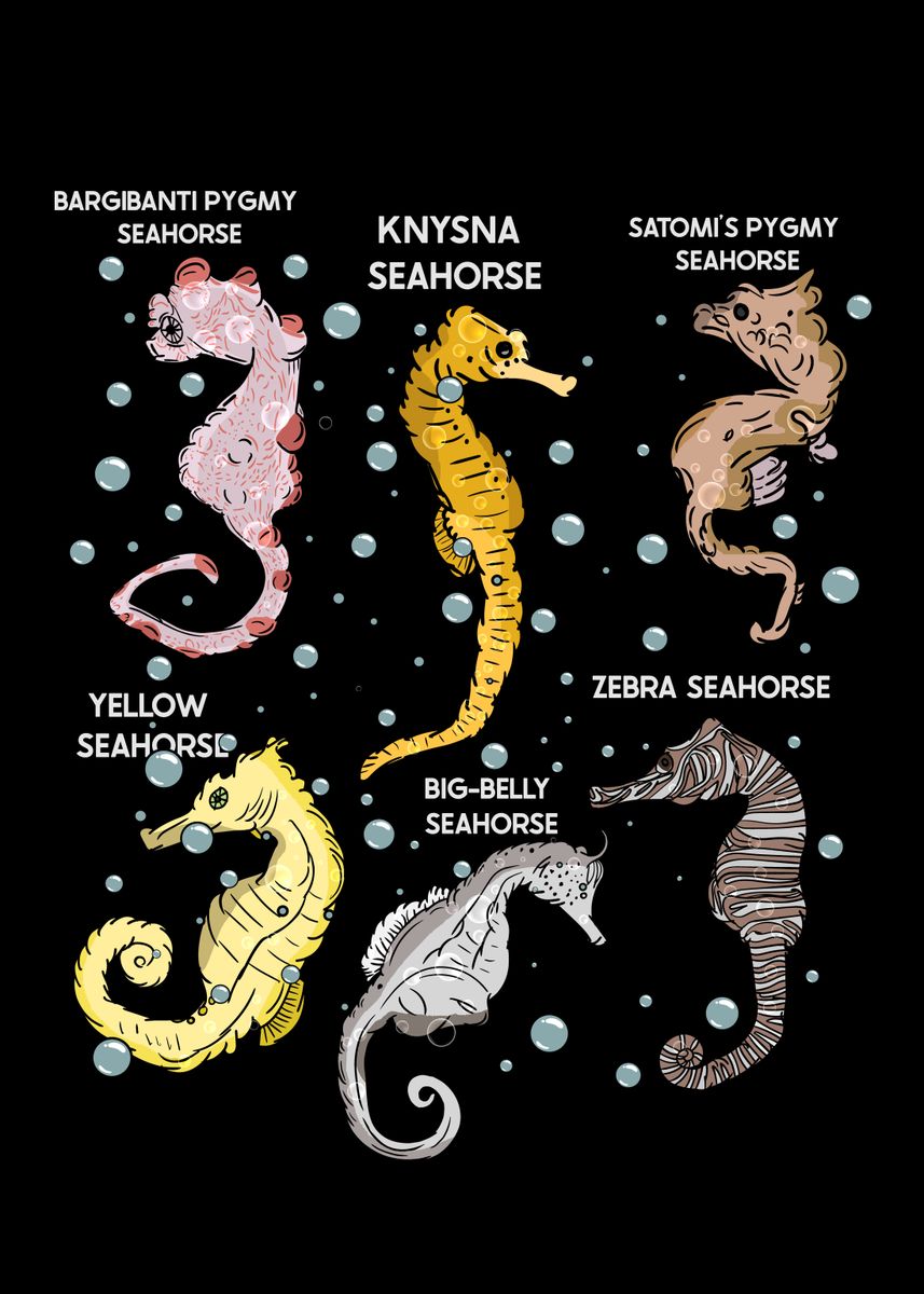 'Seahorses Lover Gift Aquarist Marine Biology Seahorse' Poster, picture ...