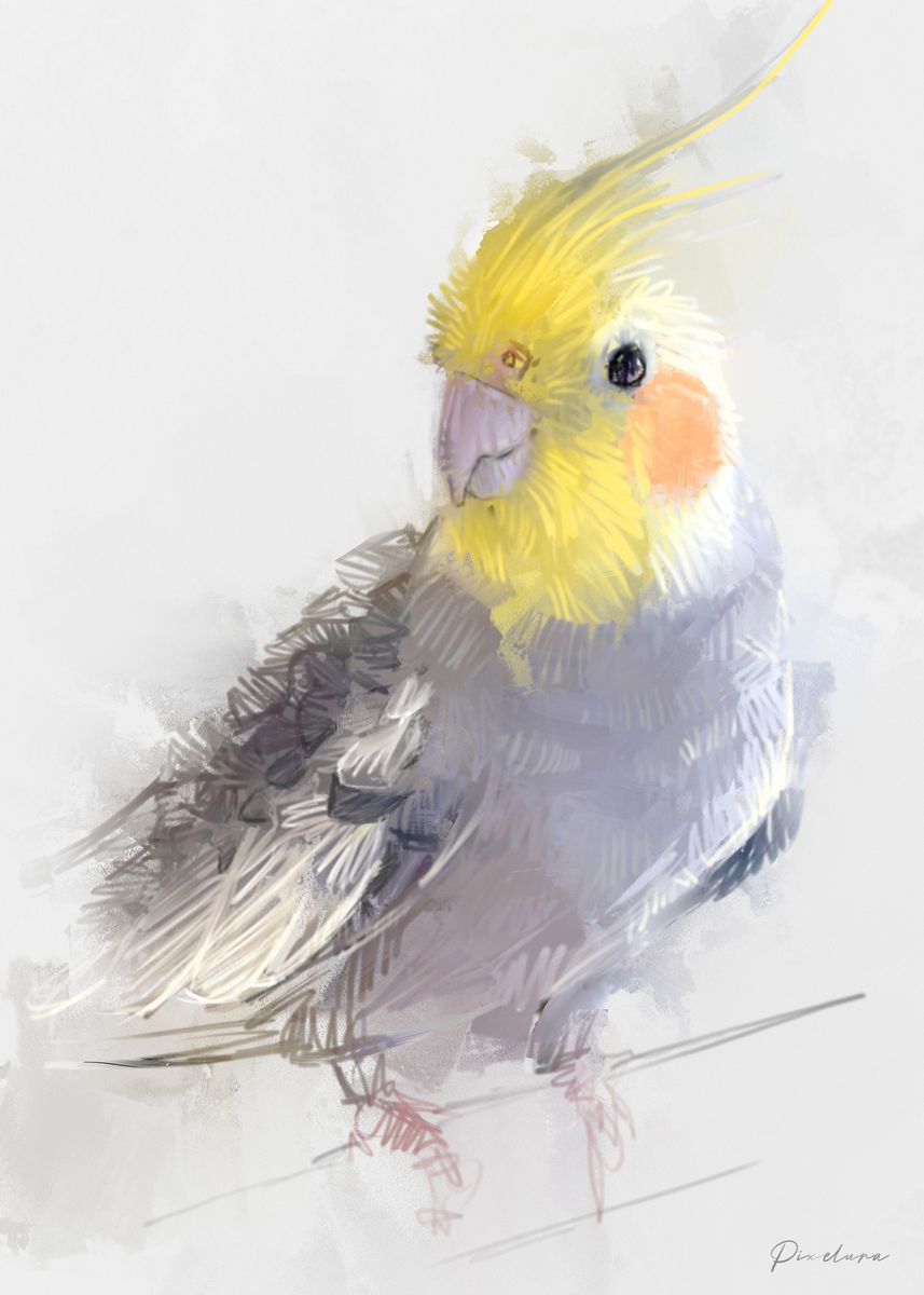 'Cockatiel Portrait' Poster, picture, metal print, paint by ...