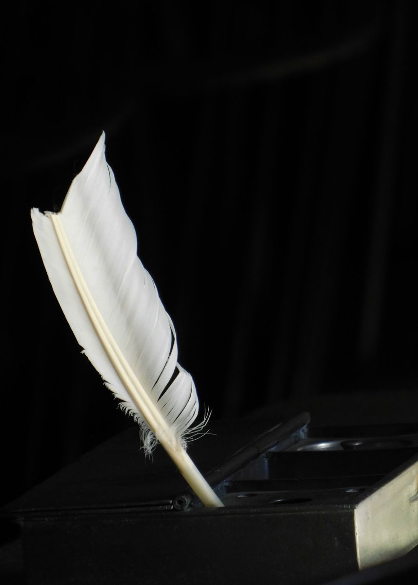 'White Quill Pen' Poster, picture, metal print, paint by Matthew Powers ...