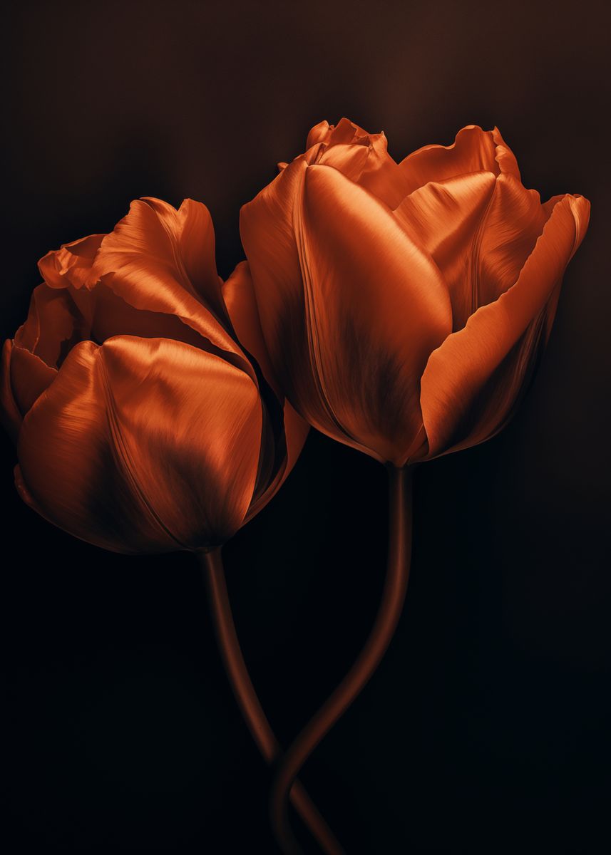 'Copper Tulips' Poster, picture, metal print, paint by Michael | Displate
