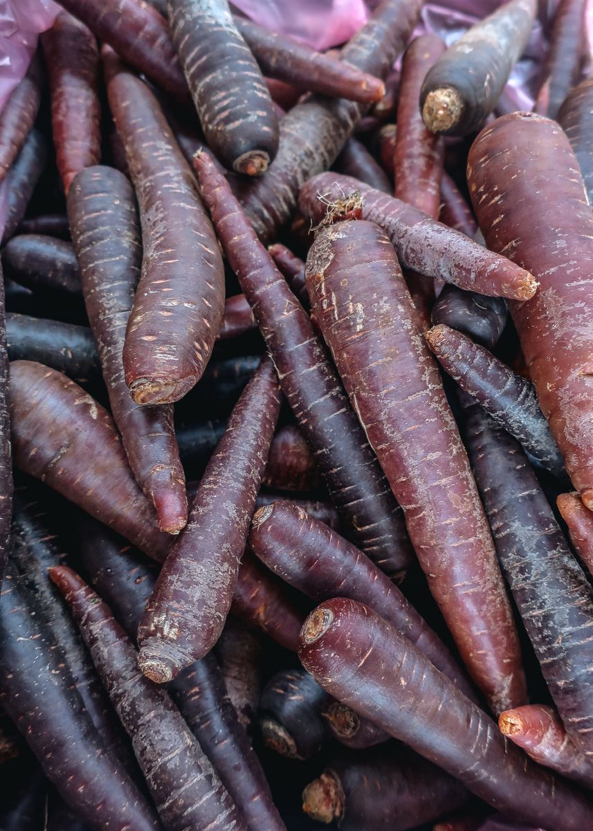 'Purple Carrots Close-Up' Poster, picture, metal print, paint by Ingrid ...