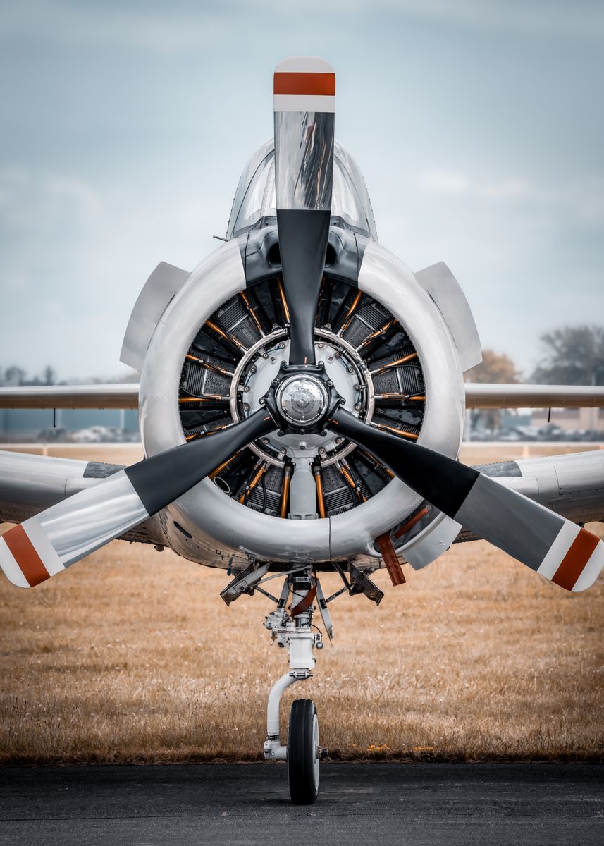 'Vintage Propeller Plane' Poster, picture, metal print, paint by Frank ...