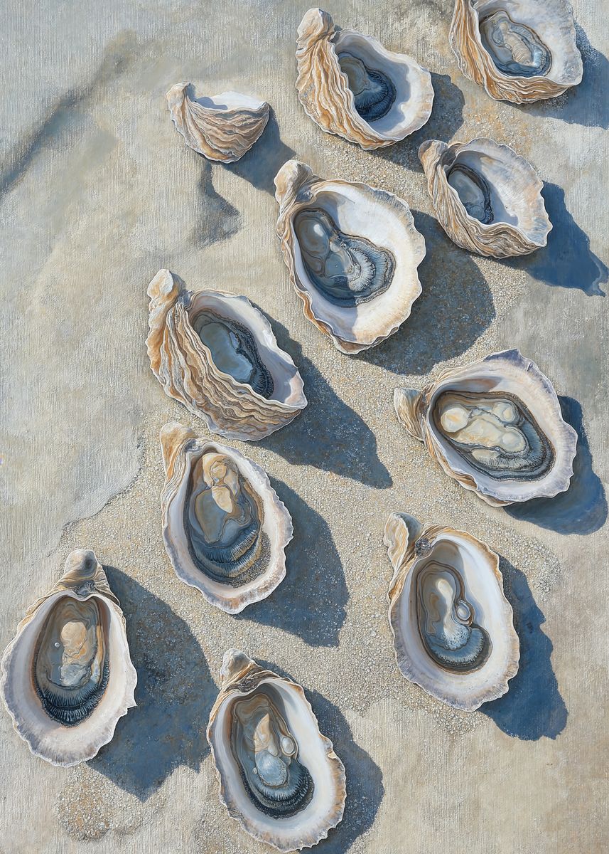 'Oyster Shells Beach Ocean Art' Poster, picture, metal print, paint by ...