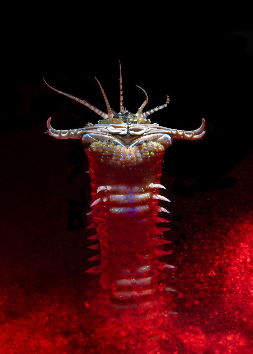 'Rising From The Abyss' Poster, picture, metal print, paint by Aliens ...