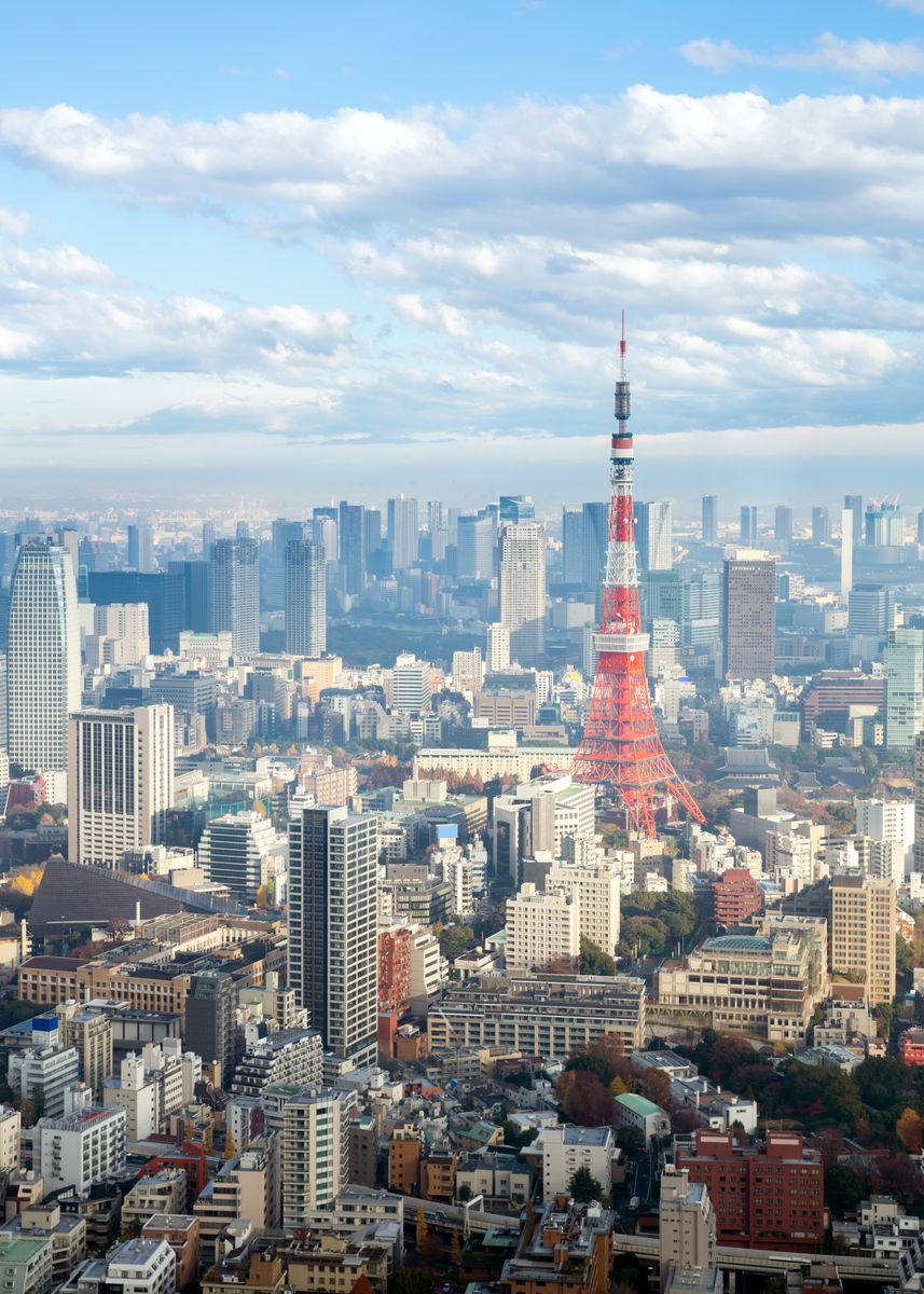 'Tokyo Skyline with Tokyo Tower' Poster, picture, metal print, paint by ...