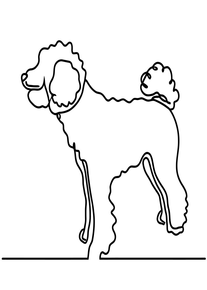 'Poodle Line Art' Poster, picture, metal print, paint by Mindlines ...