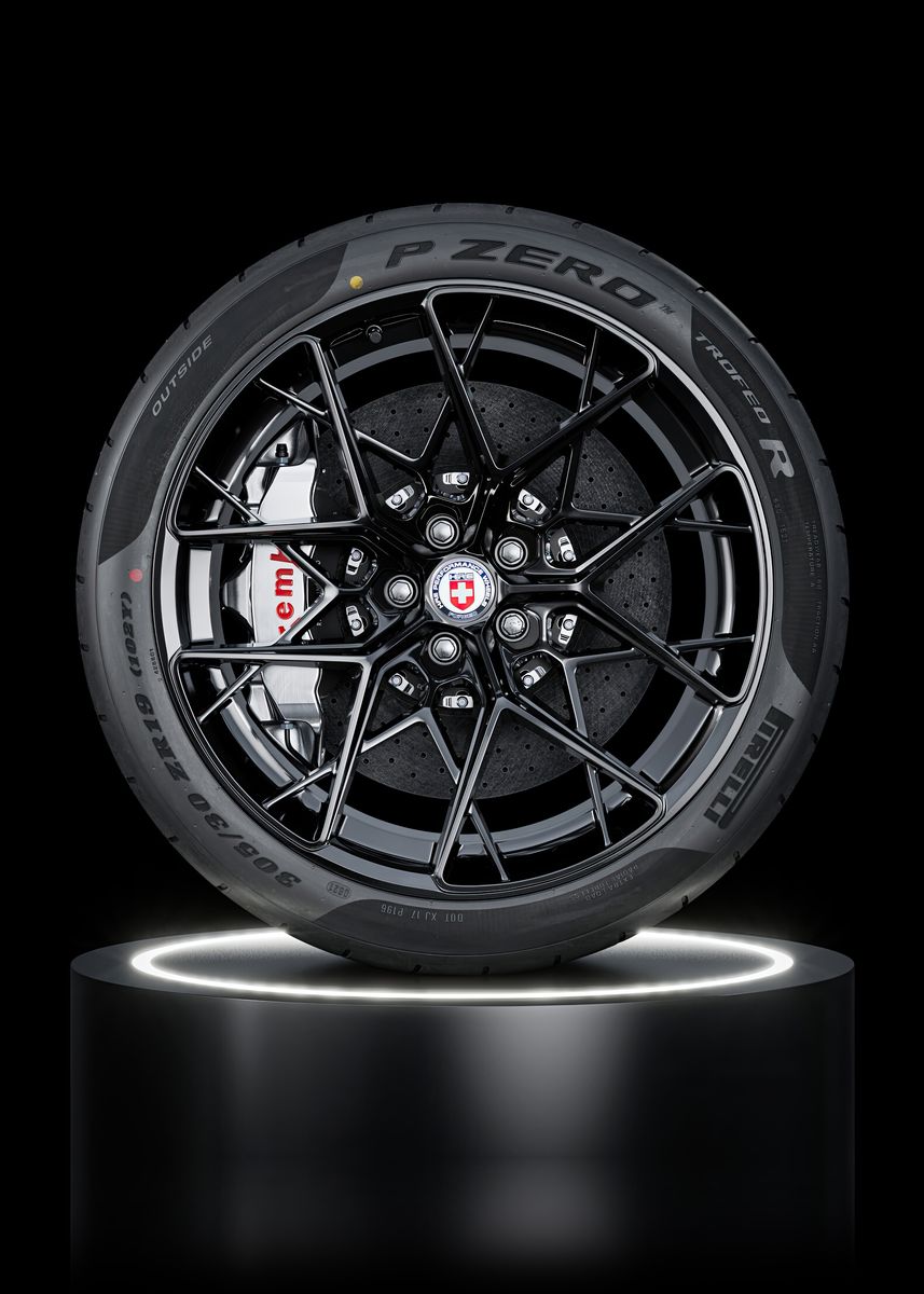 'Pirelli P Zero Trofeo R Tire' Poster, picture, metal print, paint by ...