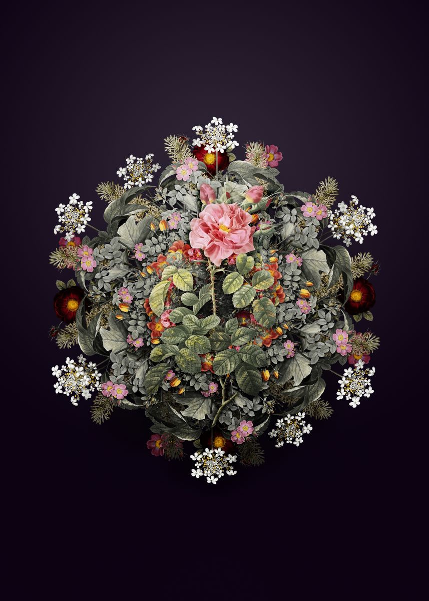 'Floral Four Seasons Rose Wreath Arrangement on Dark Background' Poster ...