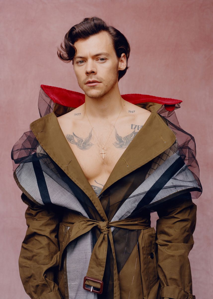 'Harry Styles Portrait' Poster, picture, metal print, paint by Natalia ...
