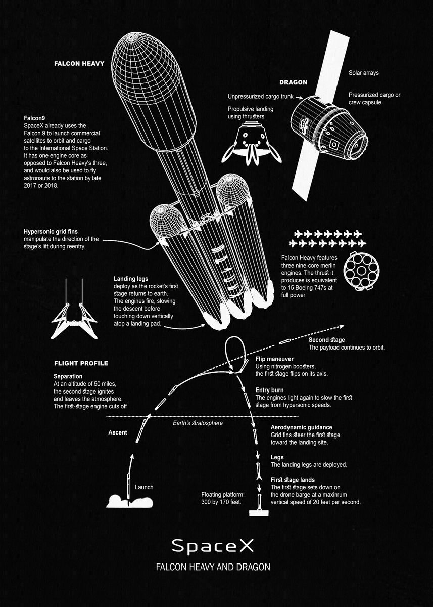 'SpaceX Falcon Heavy & Dragon' Poster, picture, metal print, paint by ...