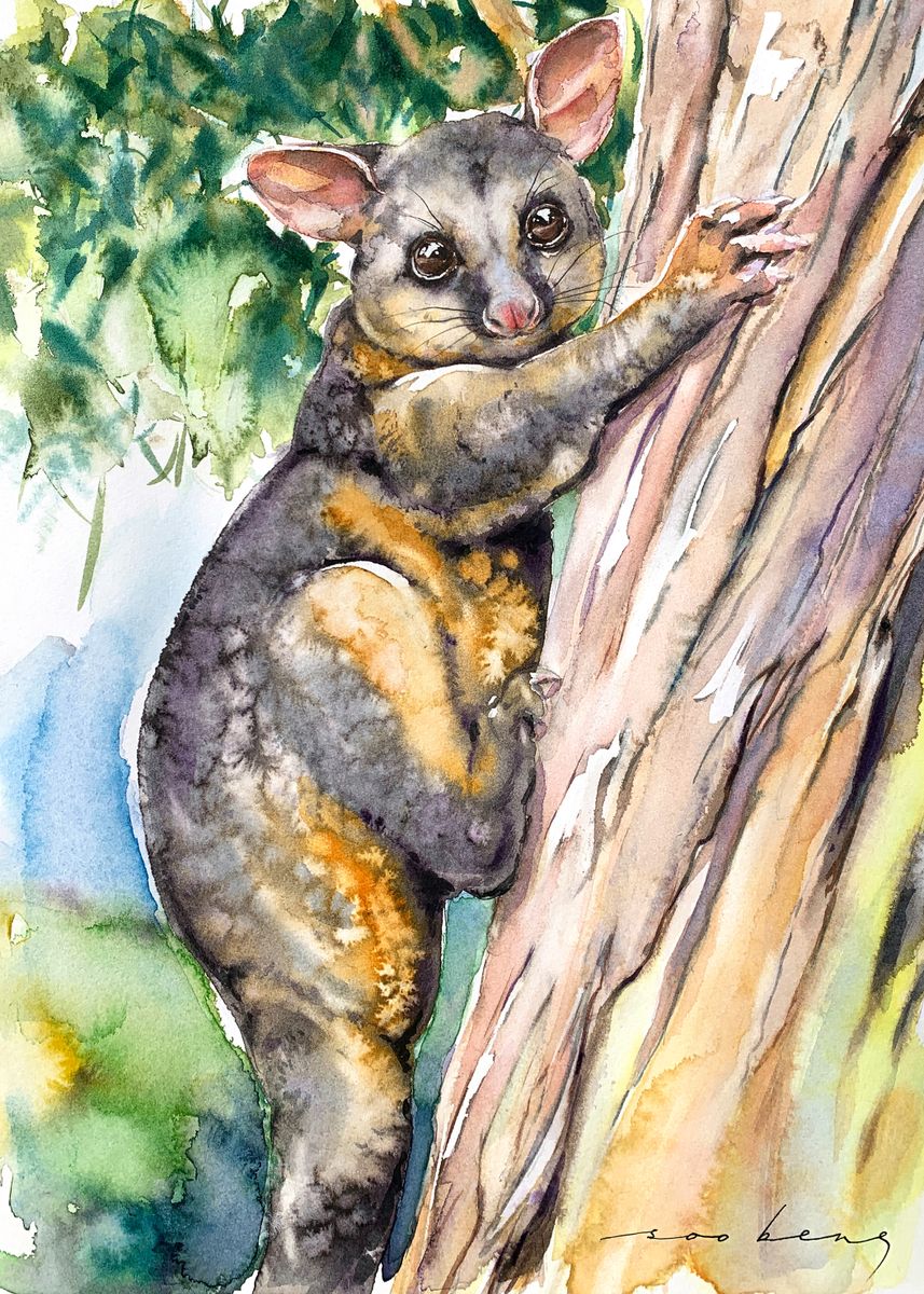 'Brushtail Possum' Poster, picture, metal print, paint by Soo Beng Lim ...