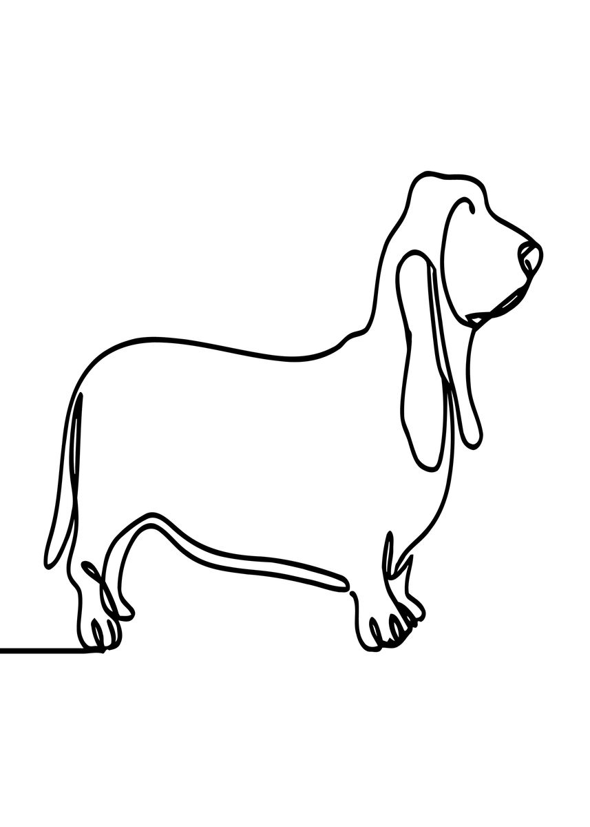 'Basset Hound Line Art' Poster, picture, metal print, paint by ...