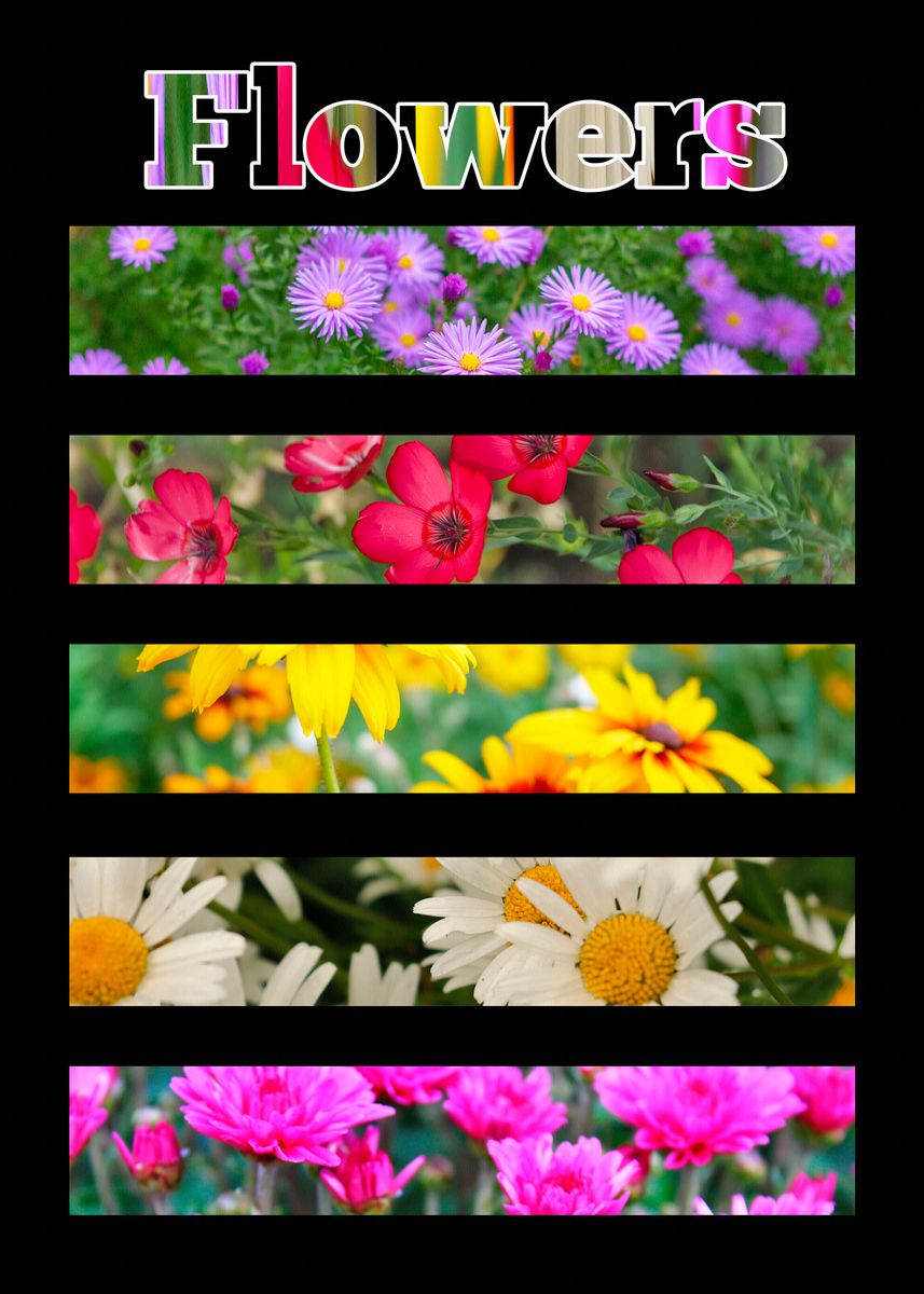 'Colorful Flower Collage' Poster, picture, metal print, paint by ...