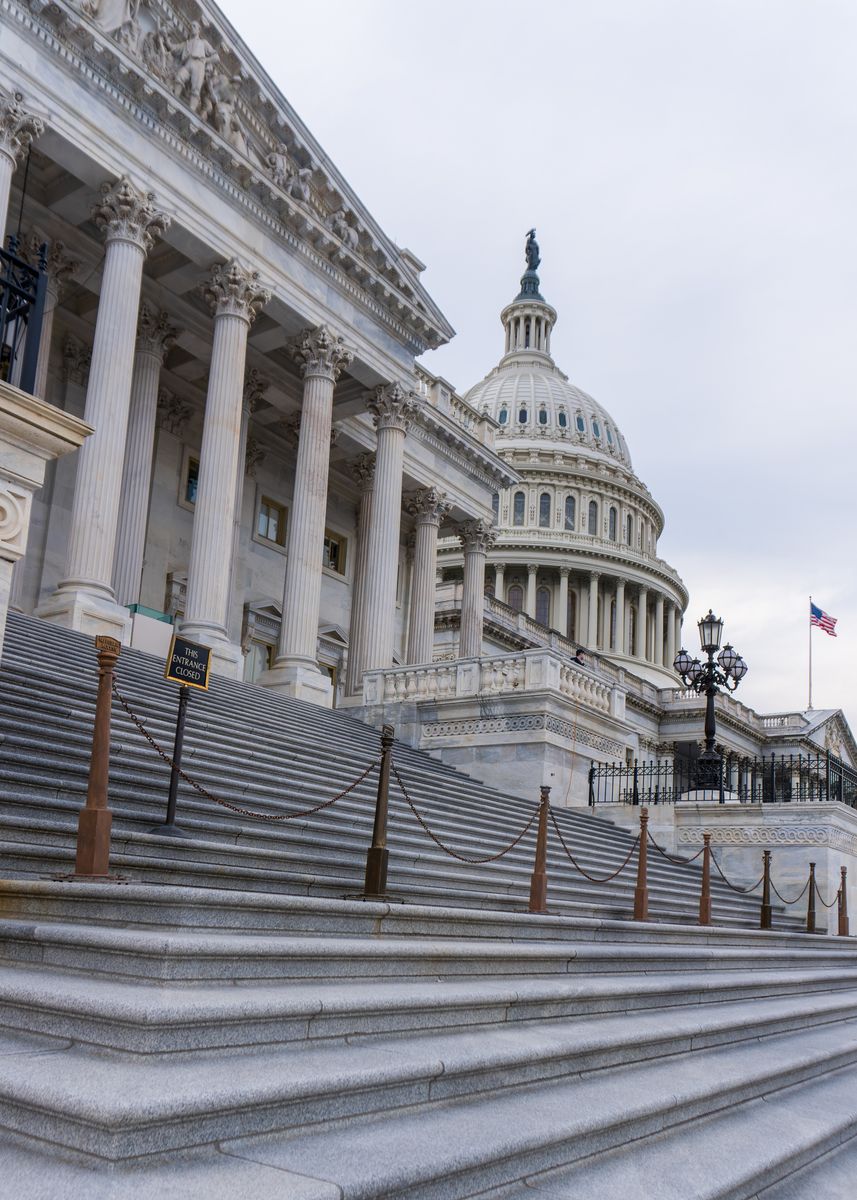 'US Capitol Building Steps' Poster, picture, metal print, paint by ...
