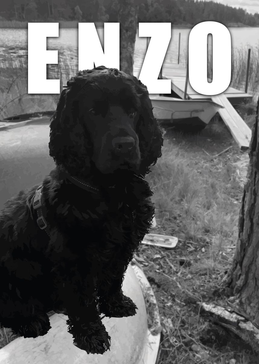 'Black Dog Named Enzo' Poster, picture, metal print, paint by Bunja ...