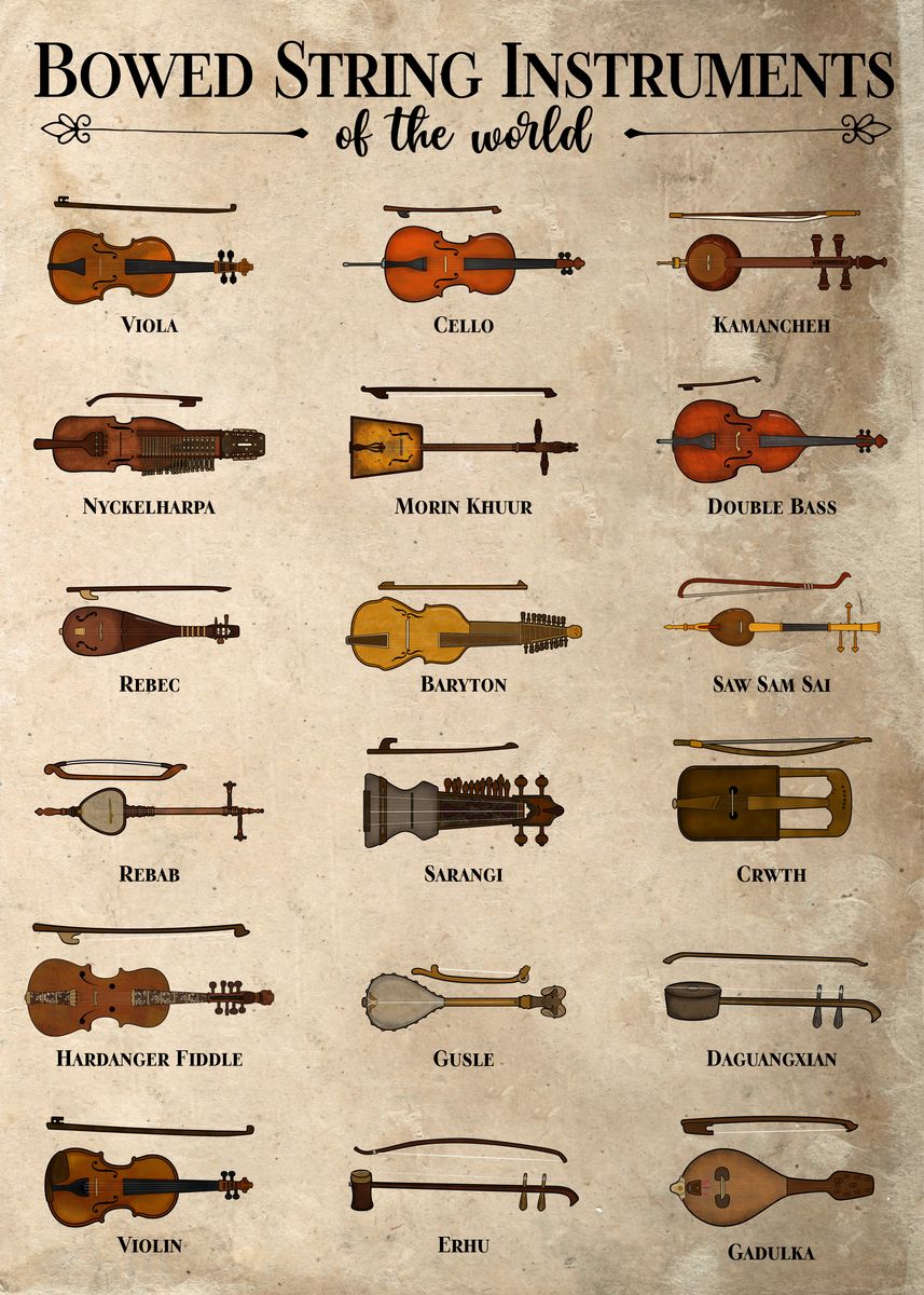 'Bowed String Instruments of the World' Poster, picture, metal print ...