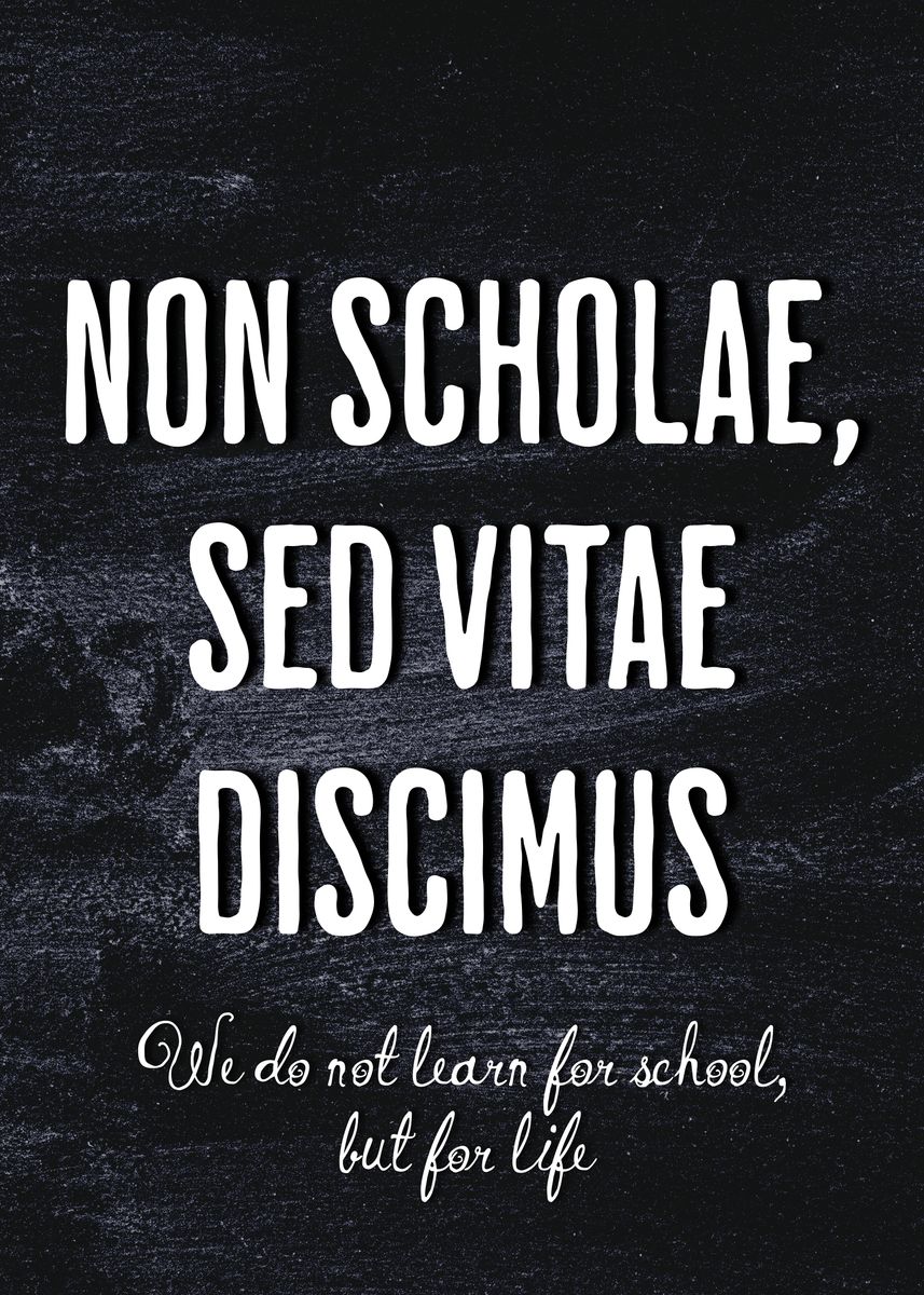 'Seneca Latin Quote' Poster, picture, metal print, paint by Jovana ...