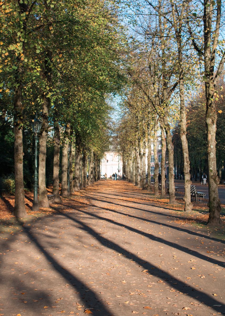 'Autumn Tree Lined Path' Poster, picture, metal print, paint by Hendrik ...