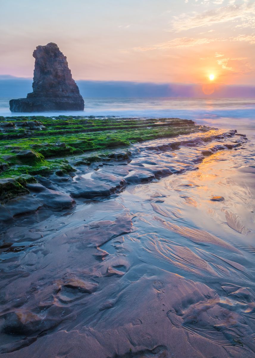 'Sunset Coastline' Poster, picture, metal print, paint by Jonathan ...