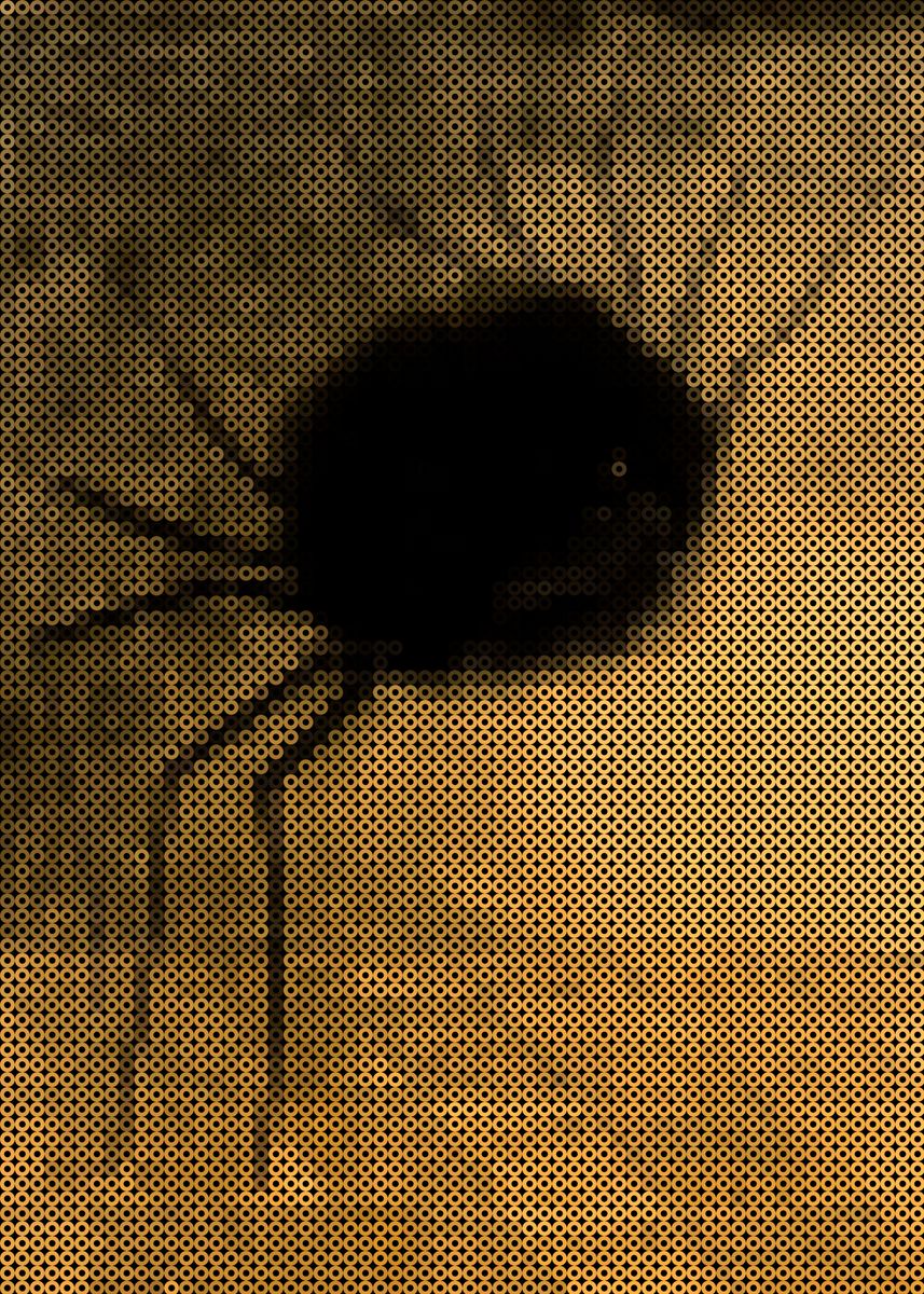 'The Smiling Spider by Odilon Redon' Poster, picture, metal print ...