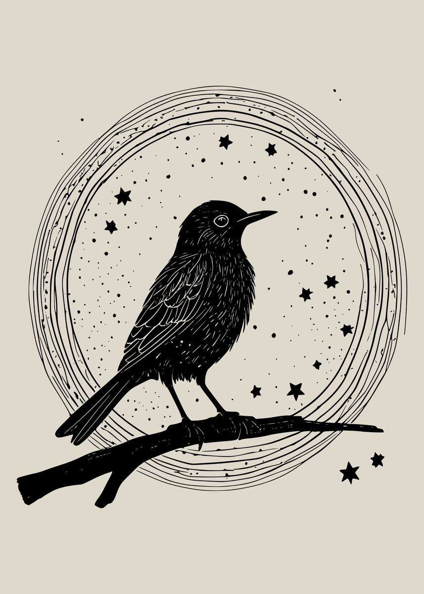 'Blackbird Celestial Stars and Bird Drawing' Poster, picture, metal ...