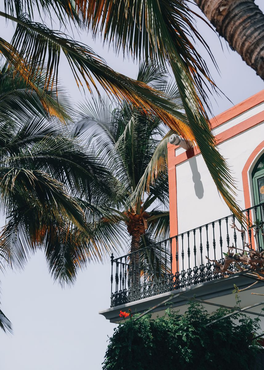 'Palm Tree Balcony' Poster, picture, metal print, paint by David Green ...
