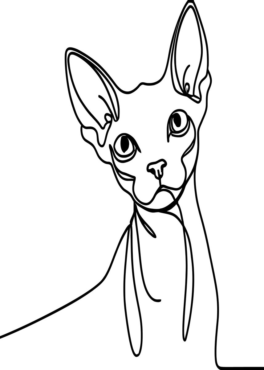 'Sphynx Cat Line Art' Poster, picture, metal print, paint by Mindlines ...