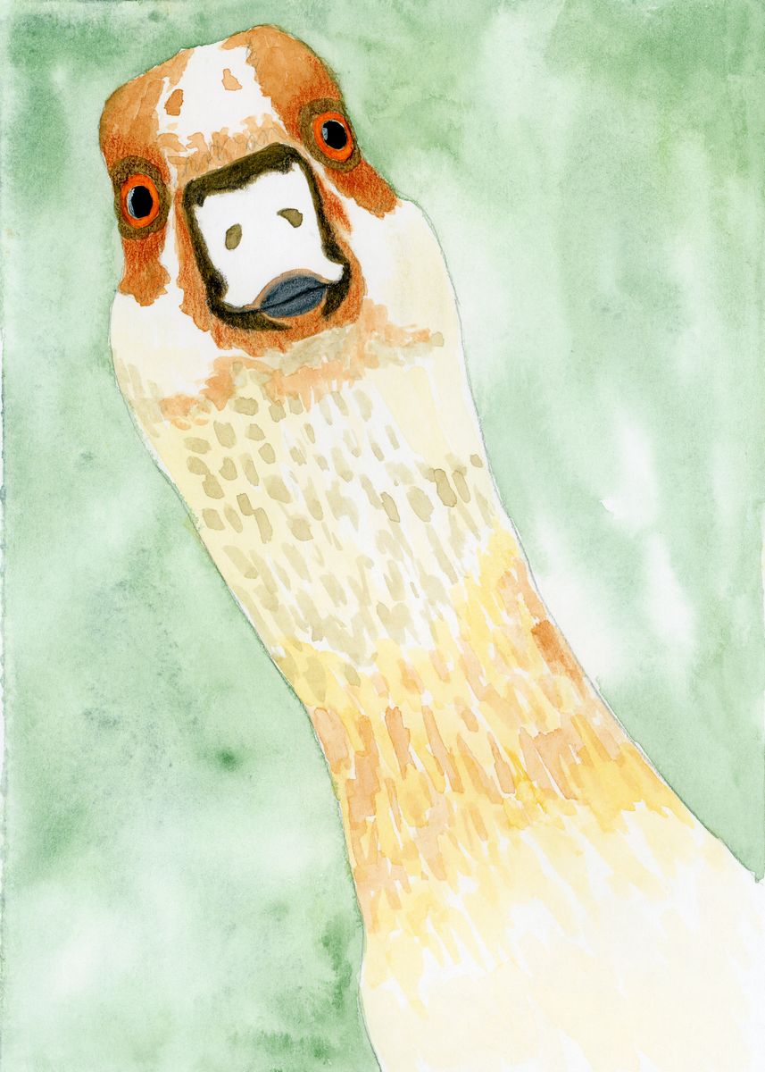 'Surprise, Watercolor Goose Portrait Illustration' Poster, picture ...