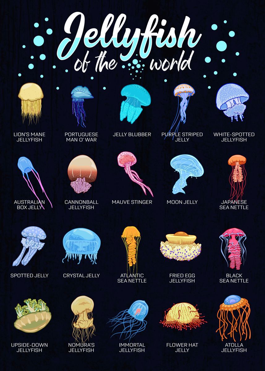 'Jellyfish of the World Chart' Poster, picture, metal print, paint by ...