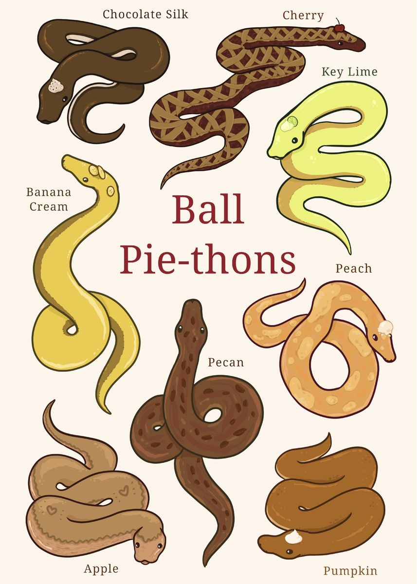 'Ball Pie-Thons' Poster, picture, metal print, paint by Rory Nelson ...