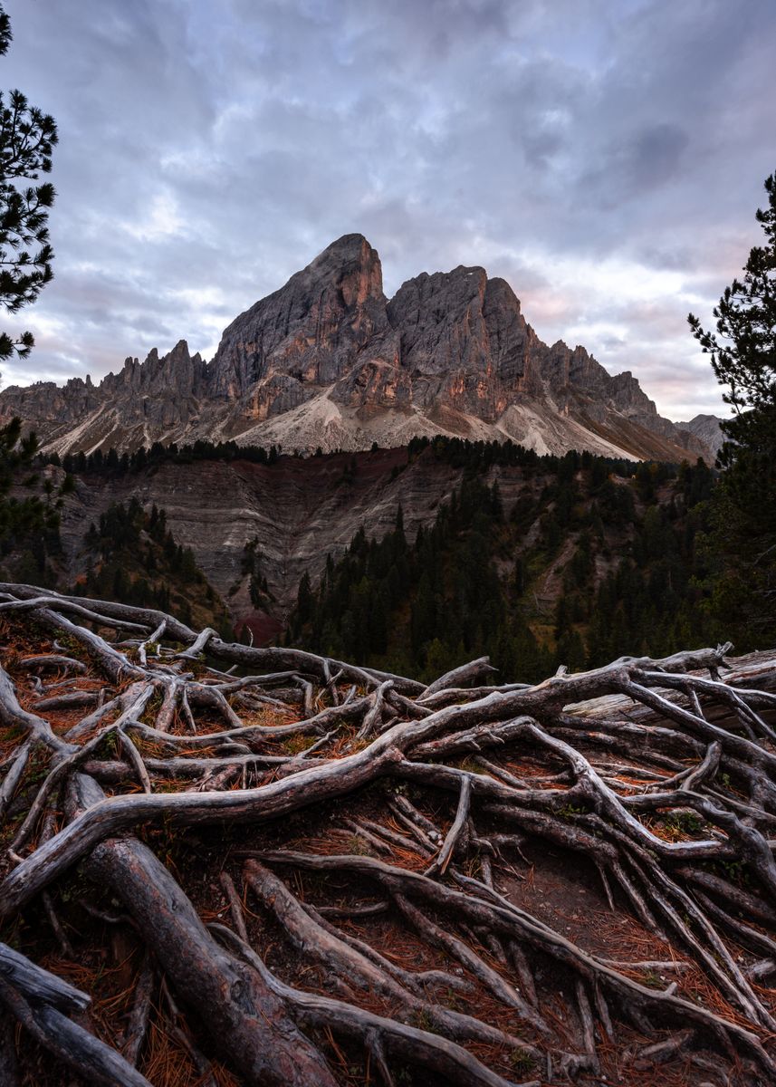 'Mountain Roots' Poster, picture, metal print, paint by David Becker ...