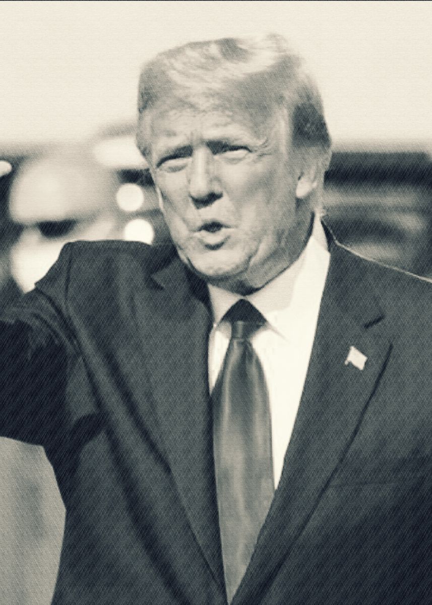 'Donald Trump Portrait' Poster, picture, metal print, paint by Brexmore ...