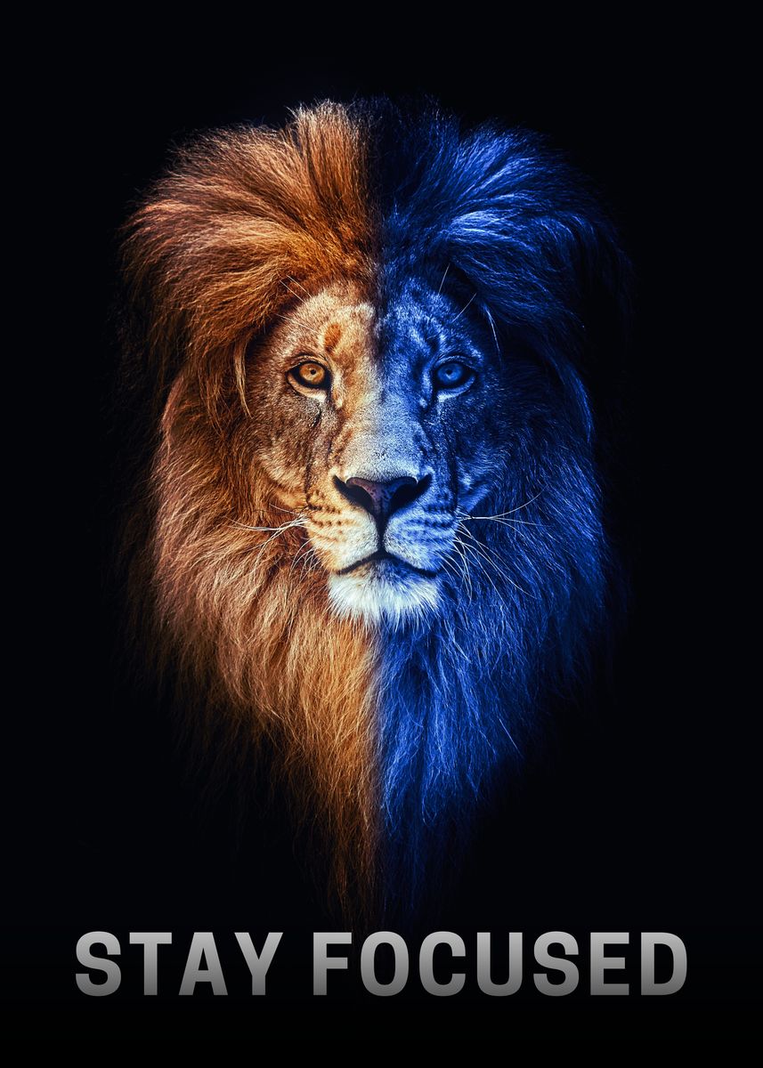 'Lion Focus Poster' Poster, picture, metal print, paint by ENZOKEN ART ...