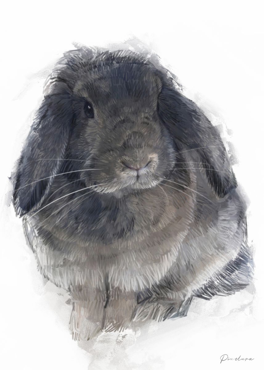 'Grey Lop-Eared Rabbit Portrait' Poster, picture, metal print, paint by ...