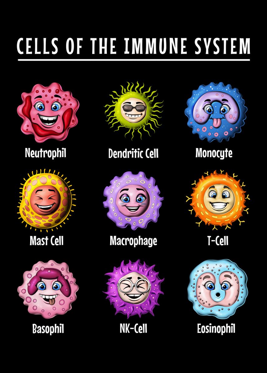'Biology Immune System Cells' Poster, picture, metal print, paint by ...