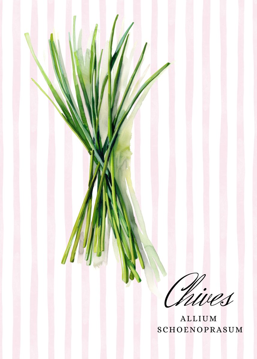 'Watercolor Chives Illustration | Kitchen Wall Art Collection' Poster ...