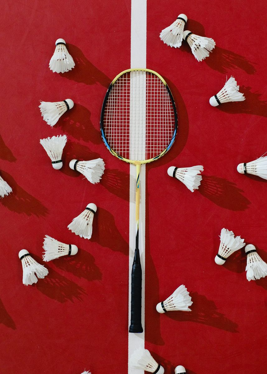 'Badminton Racket and Shuttlecocks' Poster, picture, metal print, paint ...