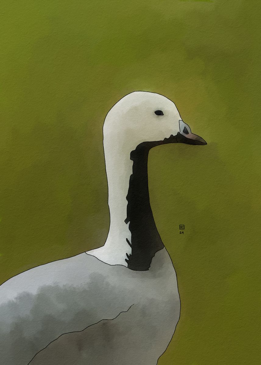 'Emperor Goose Portrait' Poster, picture, metal print, paint by Marthe ...