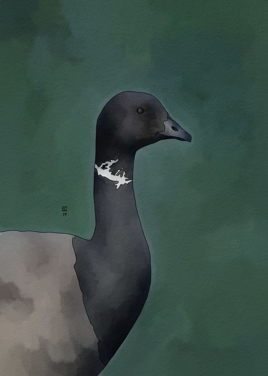 'Brant Goose Portrait' Poster, picture, metal print, paint by Marthe ...