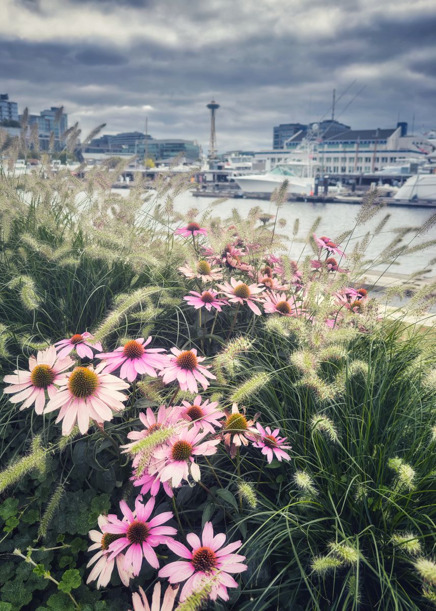 'Seattle Flowers and Skyline' Poster, picture, metal print, paint by ...