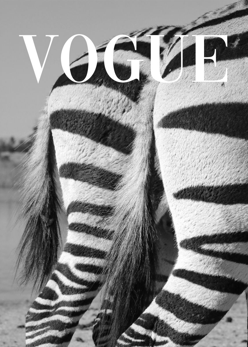 'Zebra Vogue' Poster, picture, metal print, paint by ...